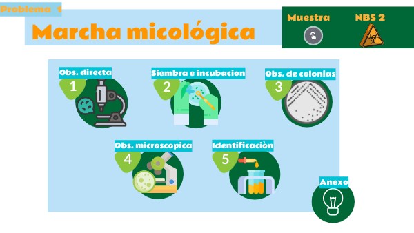 TP EJE MICOLOGÍA | Genially