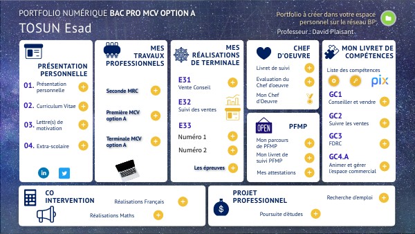 Portfolio BAC PRO MCV option A | Genially