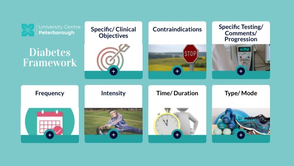 Diabetes Framework | Genially