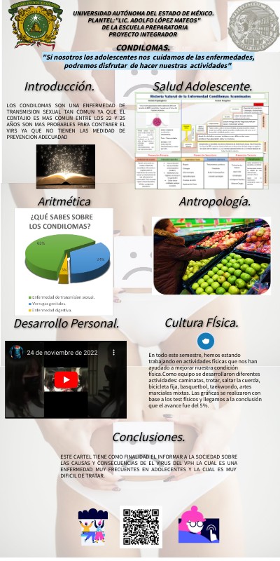 cartel final integrador | Genially