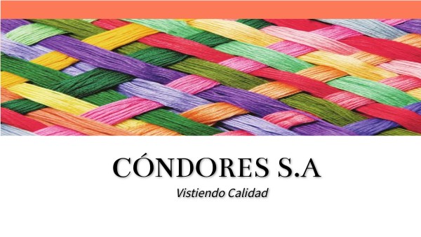 Presentación Cóndores S.A | Genially