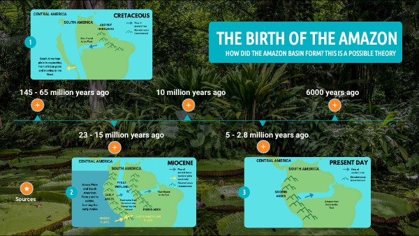 FORMATION OF THE AMAZON