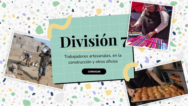 División 7