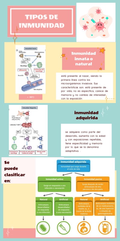 tipos de inmunidad | Genially