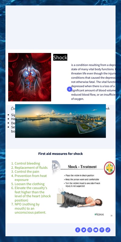 Copy - BASIC INFOGRAPHIC