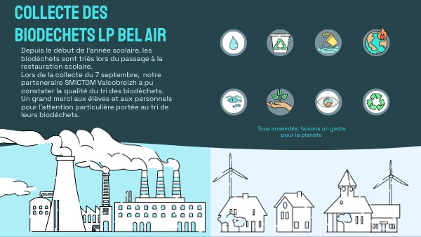 POLLUTION HORIZONTAL INFO | Genially