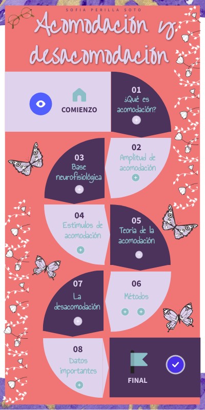 INFOGRAFÍA ACOMODACIÓN