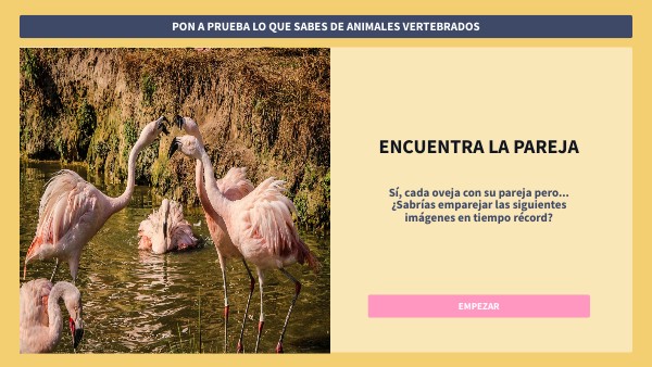 juego con los vertebrados | Genially