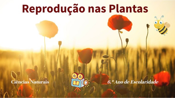 CDD_N3_CN6_Reprodução das plantas