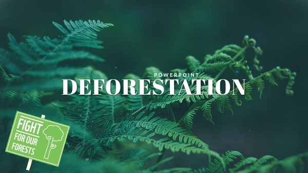 Deforestation