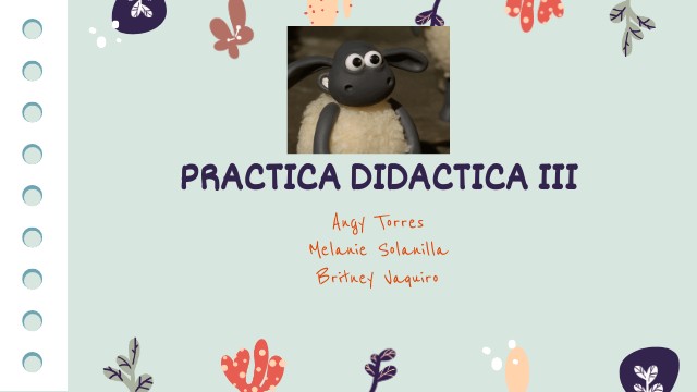 PRACTICA DIDACTICA