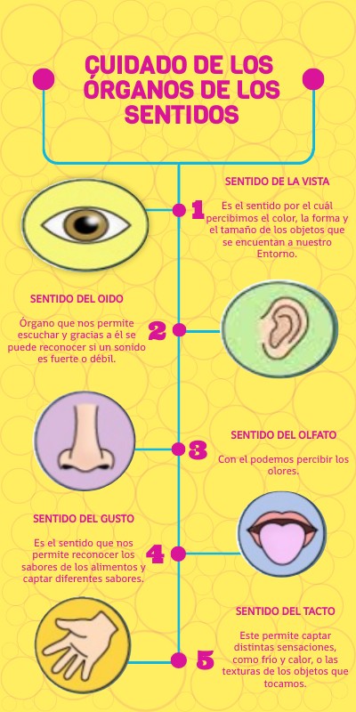 Órganos de los sentidos | Genially