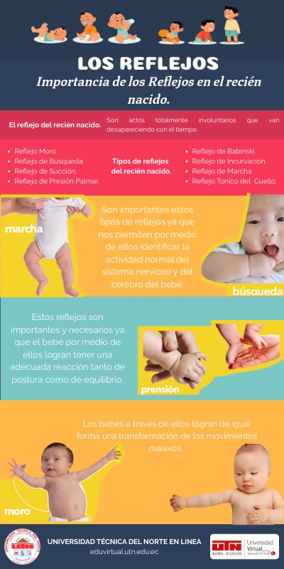 LOS REFLEJOS | Genially