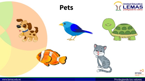 WEEK 2 FIRST BASIC | Genially