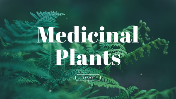 MEDICINAL PLANTS | Genially