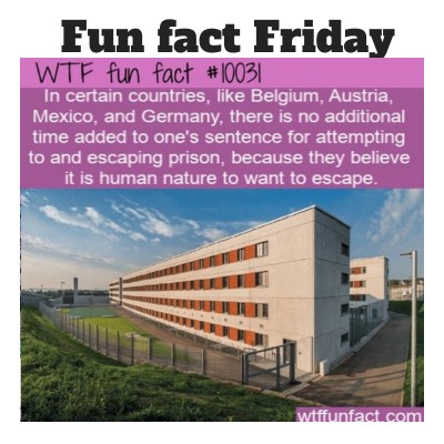 Fun fact Friday- bell ringer