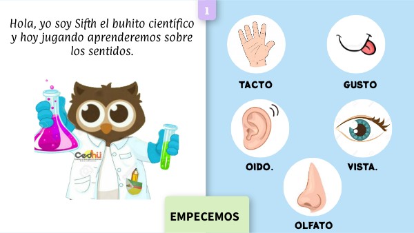 Los sentidos | Genially