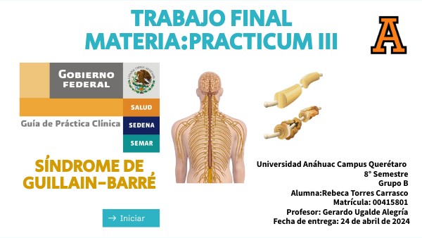 PRACTICUM III_REBECA TORRES