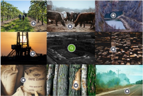 LP47_Bio9_Deforestation | Genially