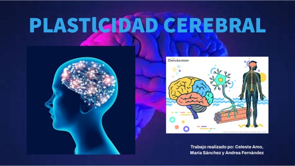 PLASTICIDAD CEREBRAL | Genially