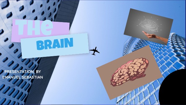 BRAIN BOOK FOR KIDS PRESENTATION