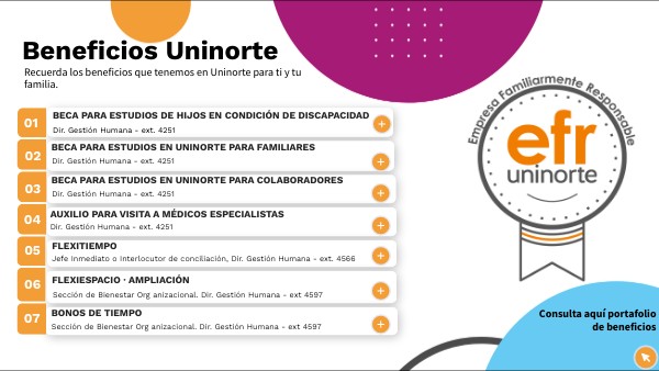 Medidas efr 2023 | Genially