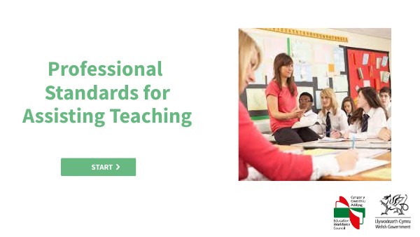 DRAFT - Professional Standards resource