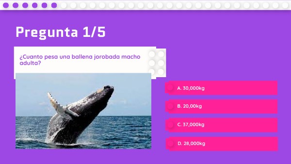 QUIZ Animales Marinos