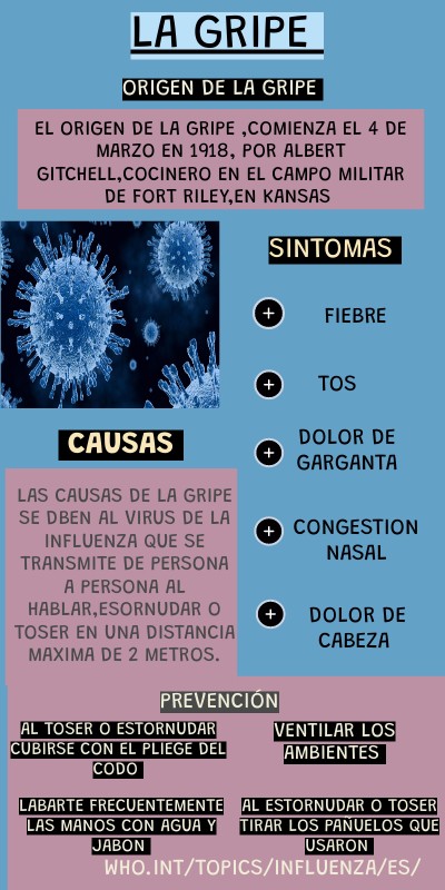 INFO VERTICAL DIGESTIVO