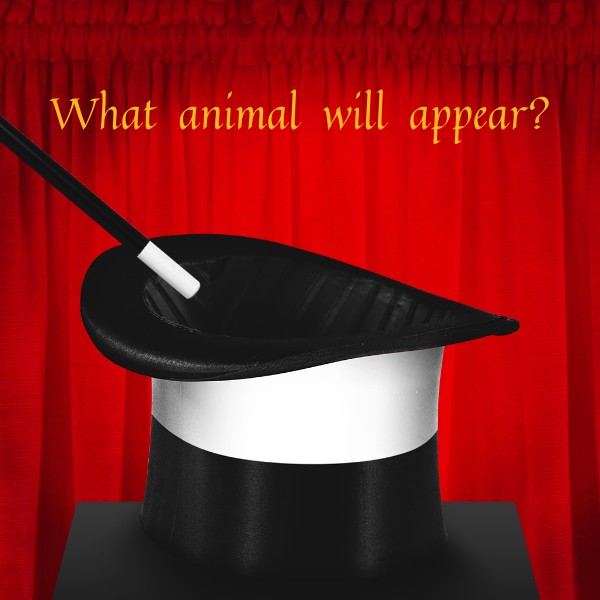 FARM ANIMALS MAGIC