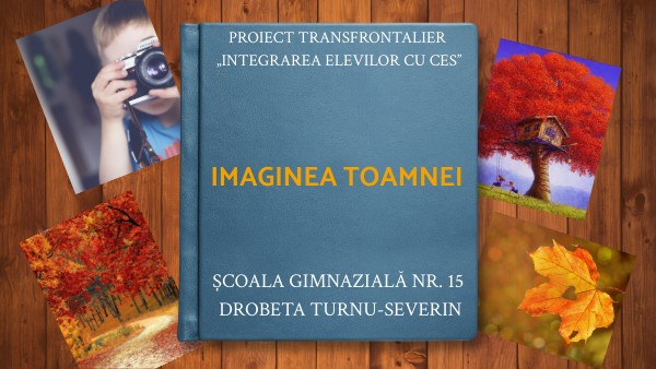 IMAGINEA TOAMNEI