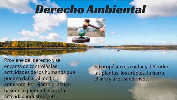 PRESENTACIÓN derecho ambiental
