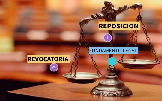 REVOCATORIA Y REPOSICION | Genially