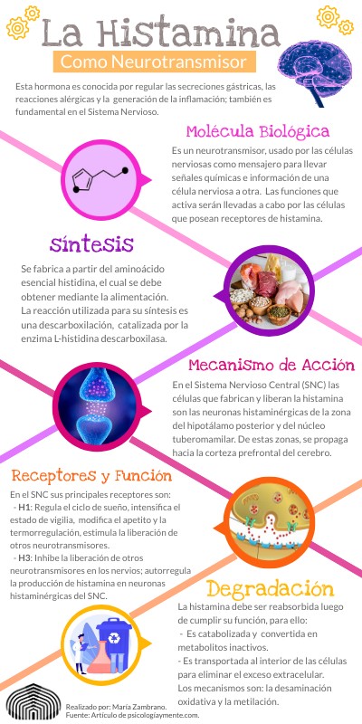 La Histamina | Genially