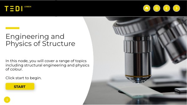 STEM (copy)