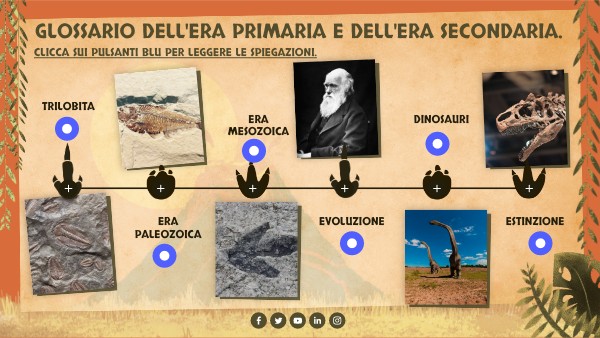 Il glossario dell'Era Primaria e Secondaria