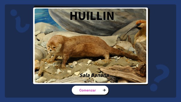 EL HUILLIN | Genially