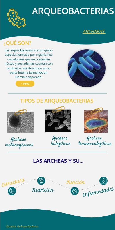 INFO ONDULADA | Genially