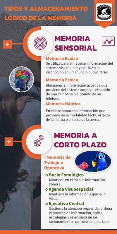 TIPOS DE MEMORIA | Genially