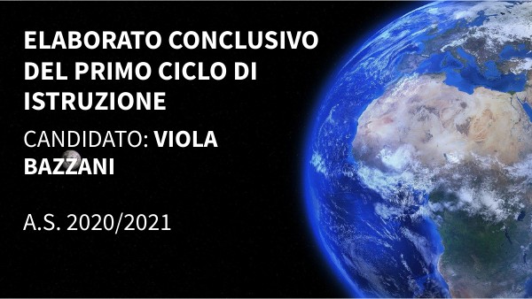ELABORATO ESAME TERZA MEDIA, IL MONDO GLOBALE
