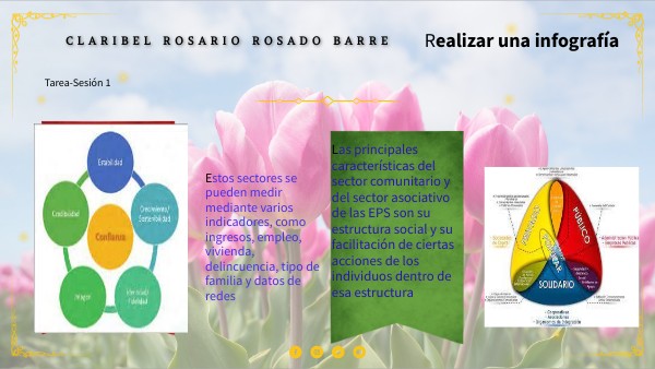 las principales características del sector comunitario y sector asocia ...