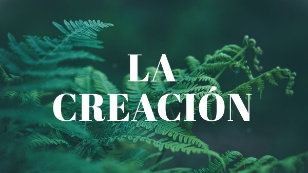 LA CREACIÓN