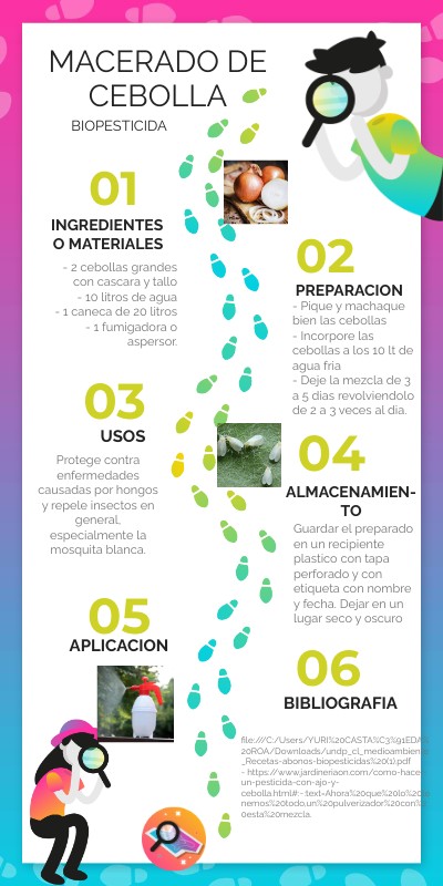 MACERADO DE CEBOLLA | Genially
