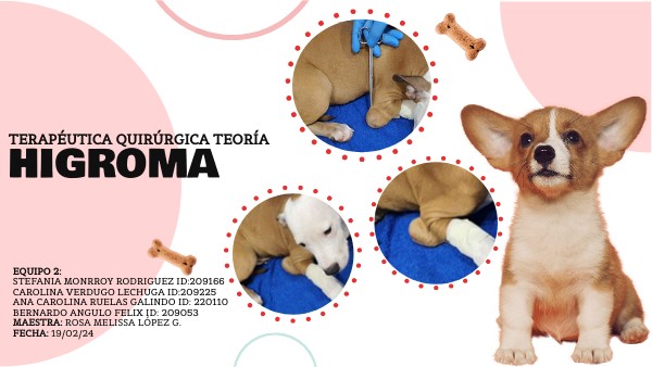 HIGROMA PRESENTACIÓN. EQUIPO 2 | Genially