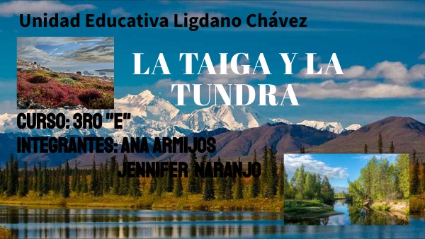 TAIGA Y TUNDRA