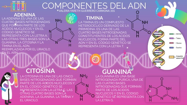 COMPONENETES DEL ADN