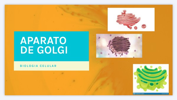 APARATO DE GOLGI