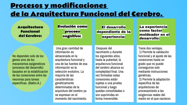 Arquitectura Funcional del Cerebro