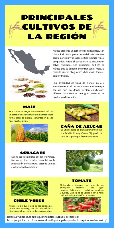 Principales Cultivos De La Region