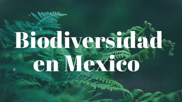 Biodiversidad en Mexico | Genially